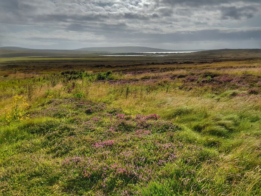Touring Orkney's north isles | Orkney.com