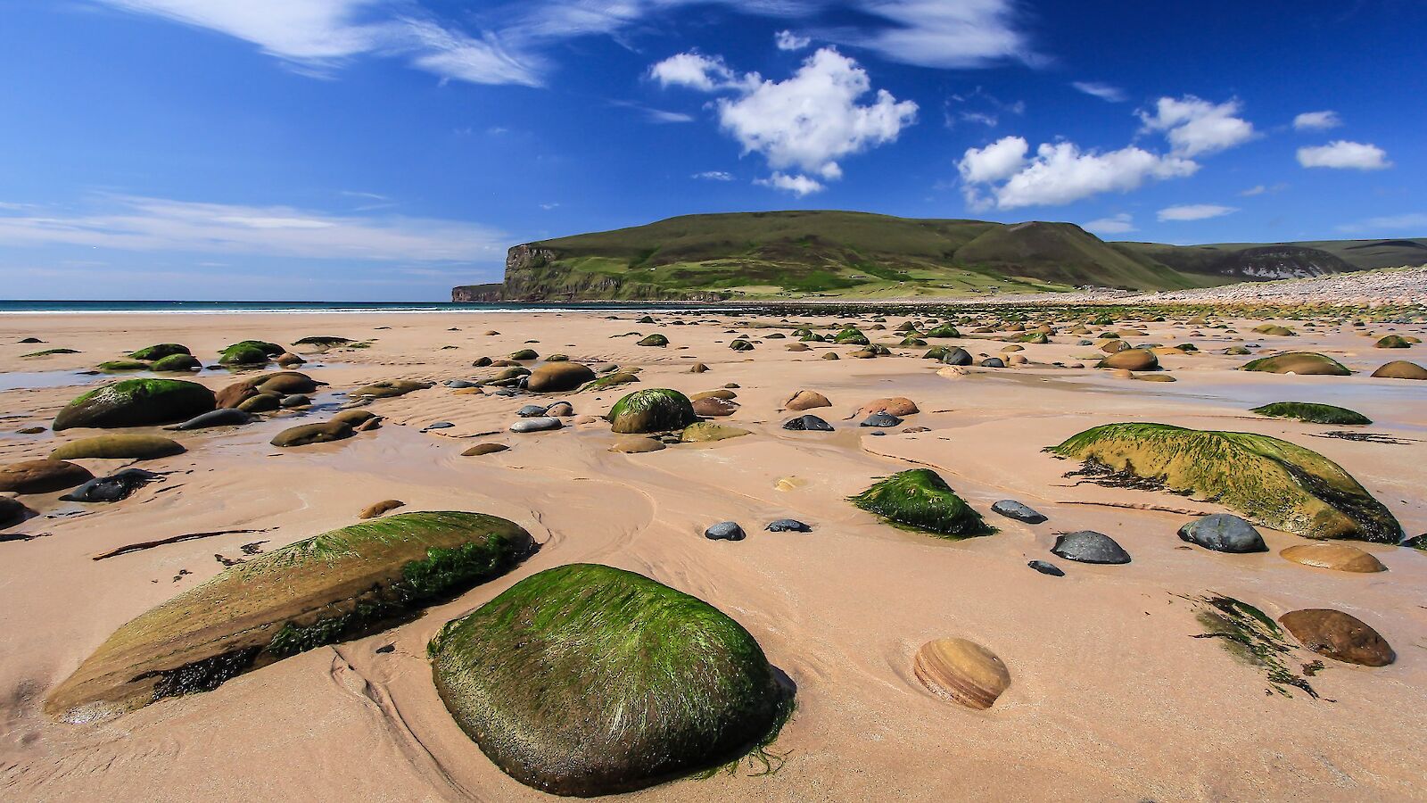 December 2019 Newsletter | Orkney.com