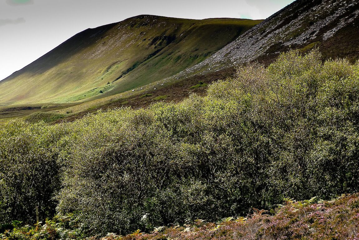 Berriedale | Orkney.com