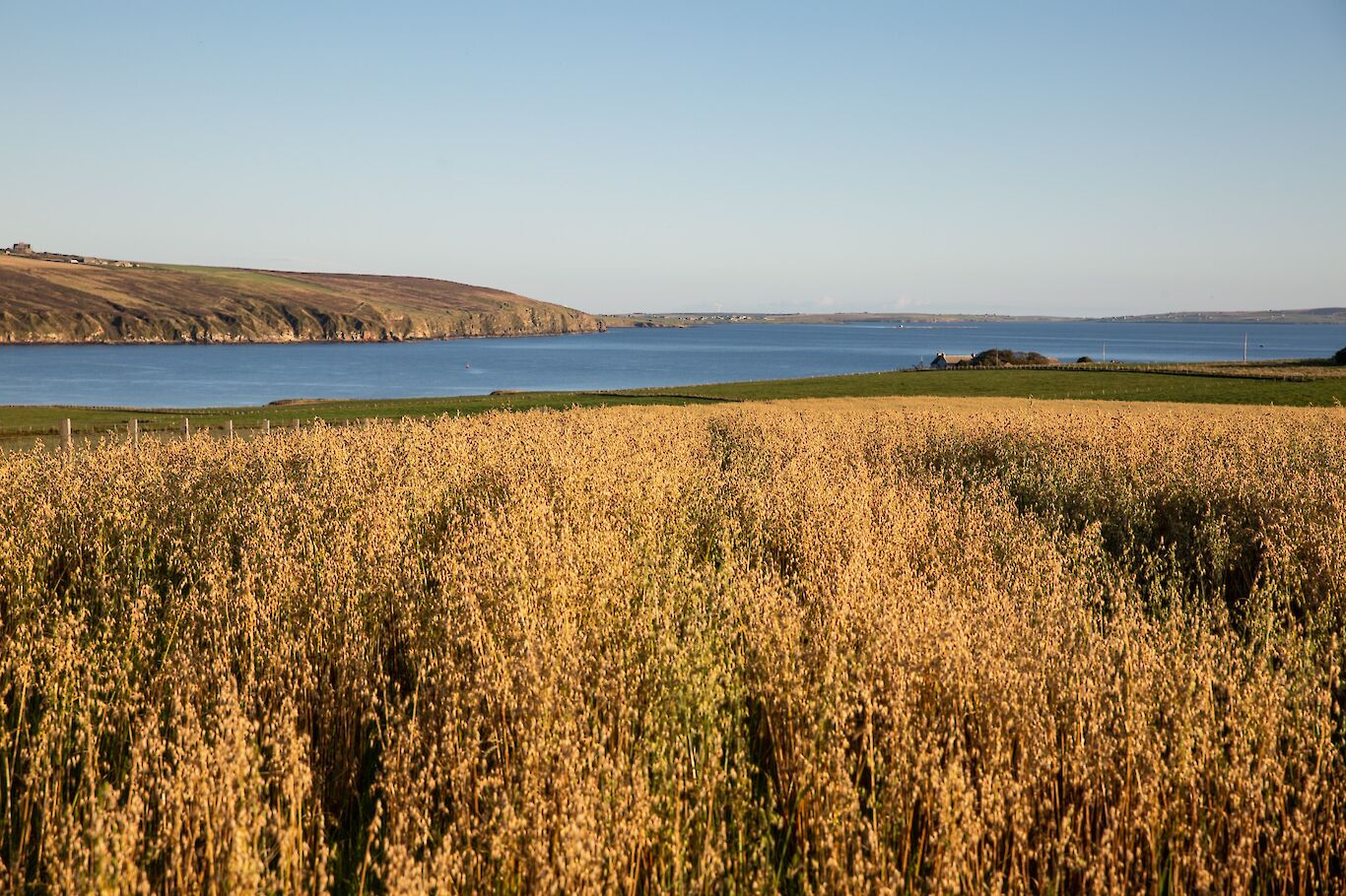 Introducing Orkney's Makers - Scapa Crafts | Orkney.com