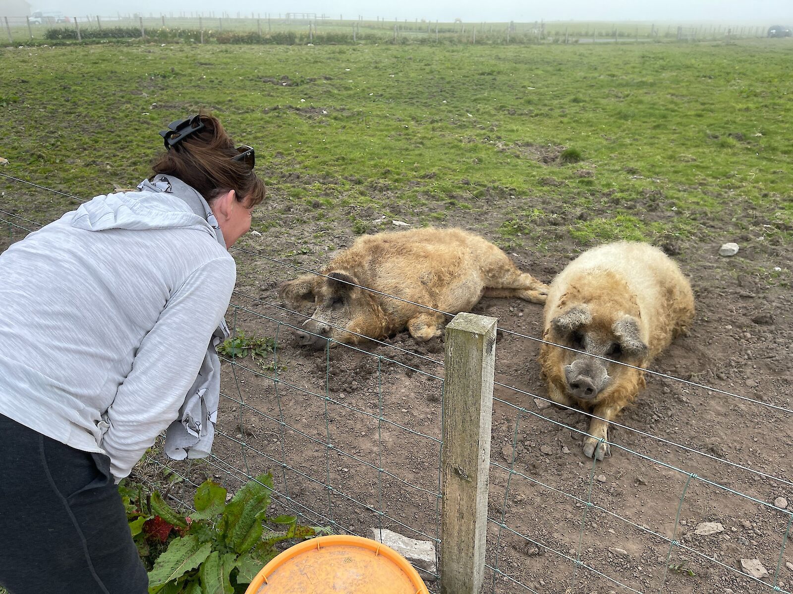 Lorraine Kelly's guide to visiting Orkney | Orkney.com