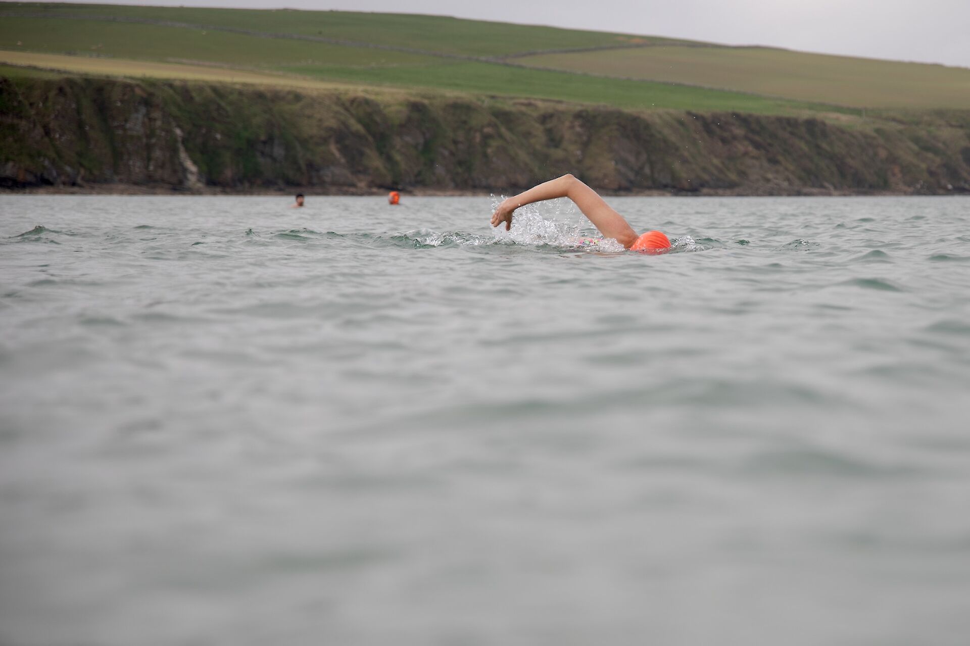 Swimming in Orkney's seas | Orkney.com
