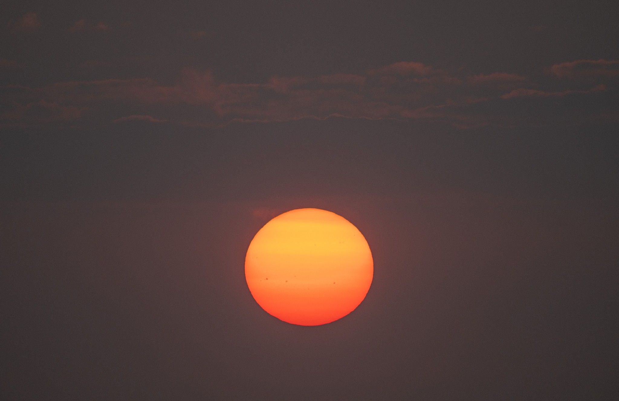 Wild Orkney in June | Orkney.com