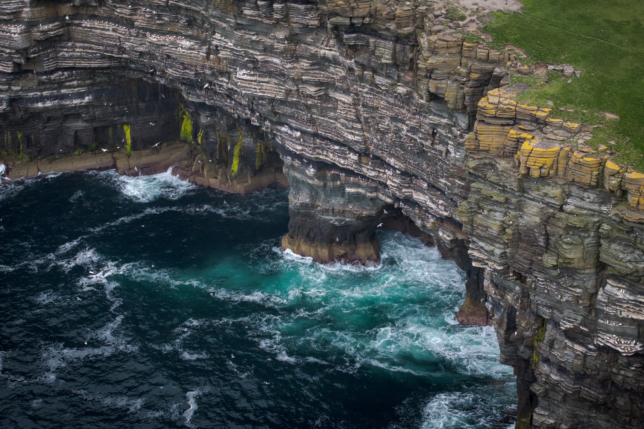 Noup Head Circular | Orkney.com