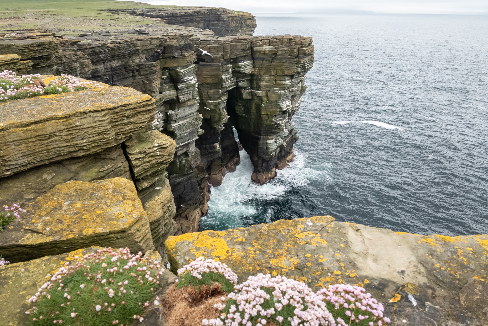 Noup Head Circular | Orkney.com
