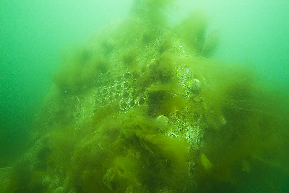 Scapa Flow Diving Centre | Orkney.com